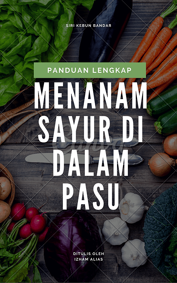 Panduan Lengkap Menanam Sayur Di Rumah - Kebun Bandar