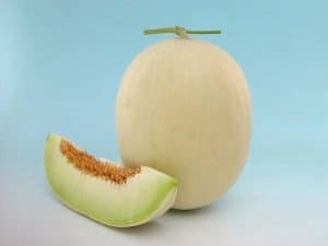 Cara Tanam Tembikai Susu (Rock Melon) (Dari Semai Sampai Tuai ...